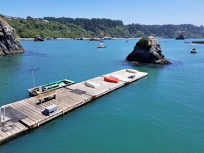 Not just any dock—this is where adventures begin and fresh seafood stories are born. The water's so clear you can practically see tomorrow.