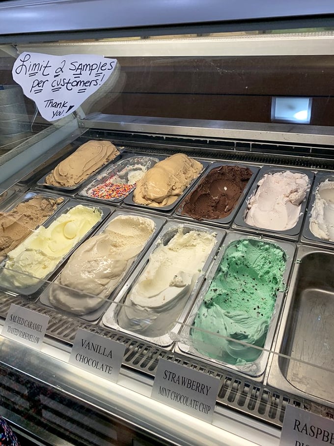 The gelato case is like the United Nations of flavor—each colorful delegate representing its country with diplomatic immunity from your diet resolutions.