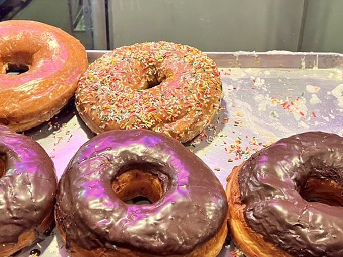 Sprinkles, chocolate, and classic glazed – the holy trinity of donut perfection arranged like edible jewelry under the shop's fluorescent glow.