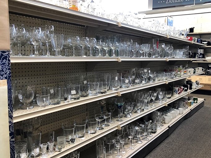 Crystal kingdom! These gleaming glasses await their second act – from casual Tuesday dinners to hosting your next impromptu cocktail party.