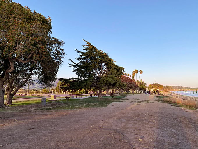 Goleta Beach Park offers that quintessential California experience—where majestic trees frame picnic spots and the ocean breeze carries away your workday stress.