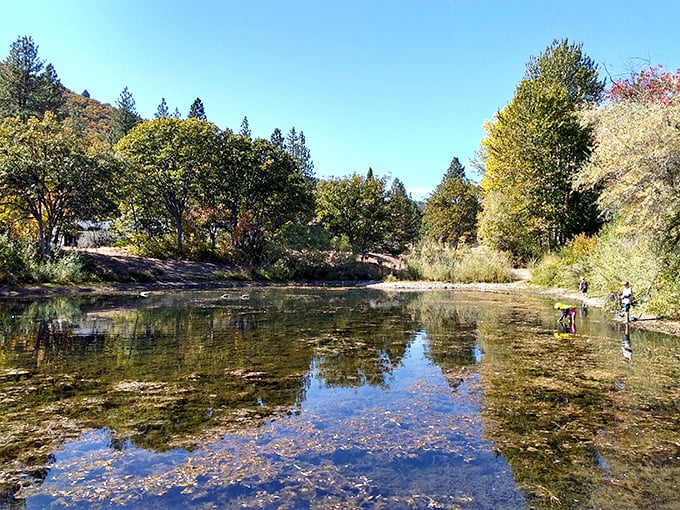 Greenhorn Park's crystal waters reflect autumn's palette – nature's version of a double feature that doesn't require a streaming subscription.