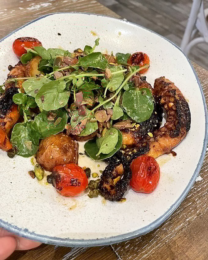 This grilled octopus isn't just cooked—it's transformed into tender, charred perfection that even the most tentative seafood explorers will embrace.