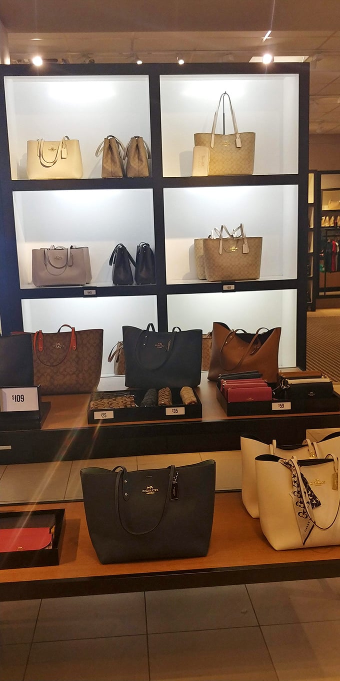 Coach bags displayed like museum pieces, except you're allowed—encouraged even—to take these treasures home.