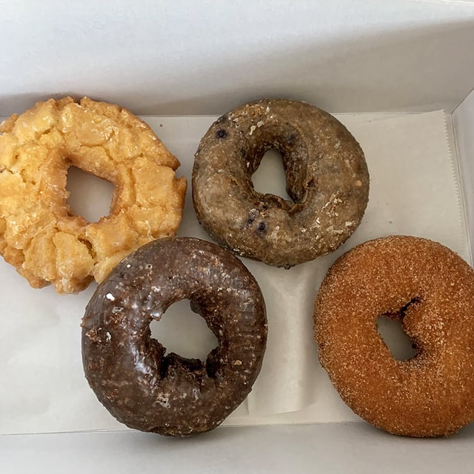Donut diversity that would make the United Nations proud. The chocolate-glazed one is practically winking at you.