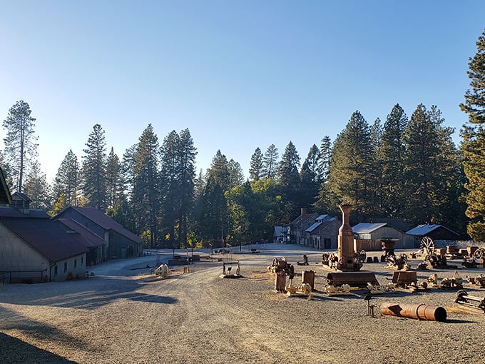 At Empire Mine's historic grounds, rusted machinery stands as industrial sculpture – beautiful in its weathered authenticity.