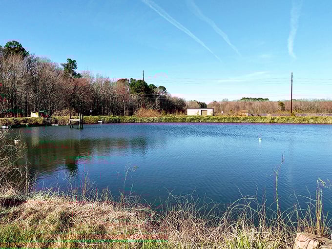 Heron Park offers a serene water view that's perfect for contemplation—or plotting your retirement escape from big city chaos to small-town tranquility.