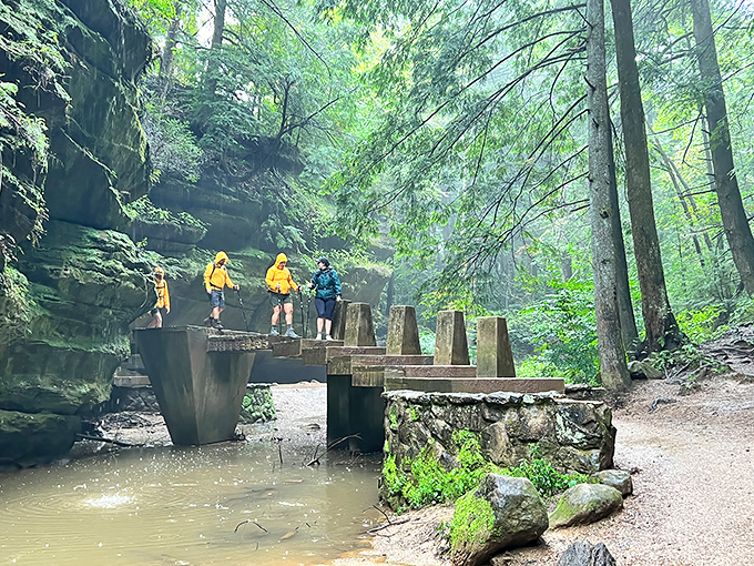 These wooden footbridges aren't just practical—they're portals between worlds. One minute you're in Ohio, the next you're in Middle-earth.
