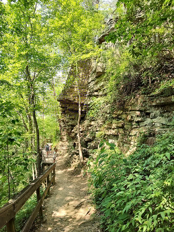 The trail hugs the canyon wall like it's afraid of heights. Wooden railings provide security while nature provides the show.