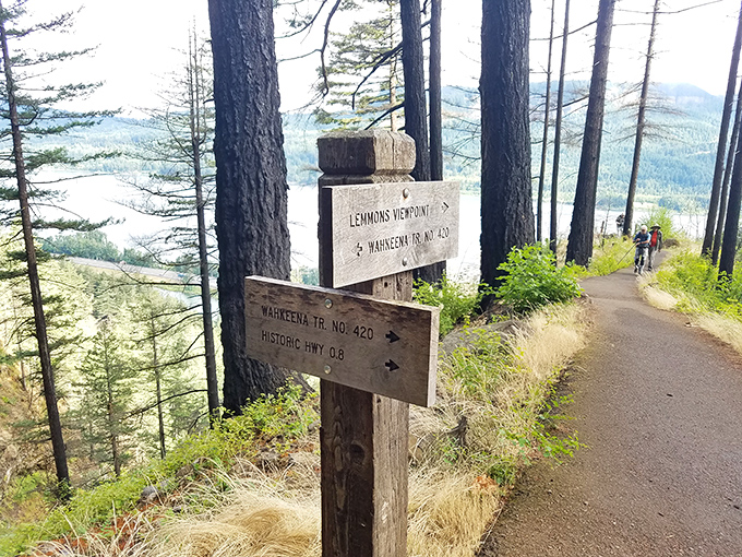 Trail markers that promise adventure. The wooden signposts at Wahkeena Falls are like nature's version of "You Are Here" with infinitely better views.