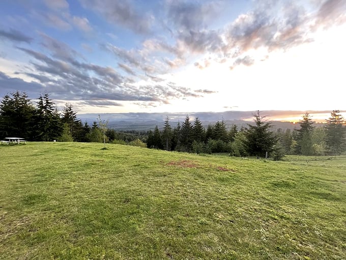 Sunset paints the Coast Range in watercolor hues. This view alone is worth the price of admission—and possibly framing.