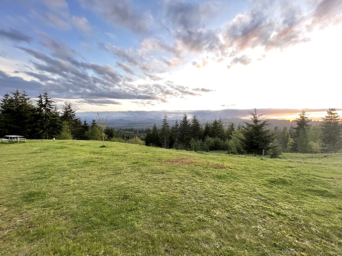 Sunset paints the Coast Range in watercolor hues. This view alone is worth the price of admission—and possibly framing.