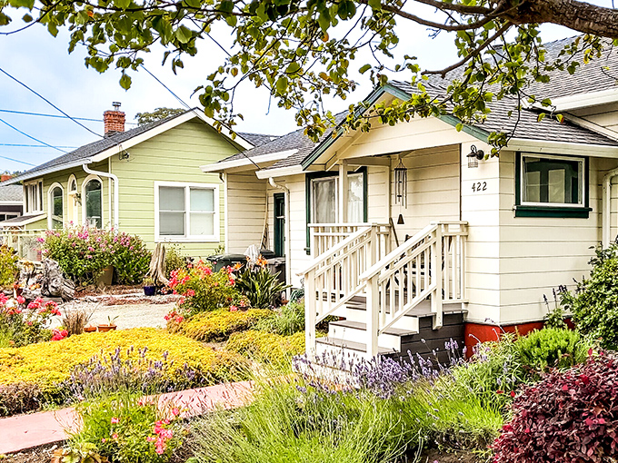 These aren't just houses; they're love letters to coastal gardening, where lavender and succulents thrive in the salt-kissed air.