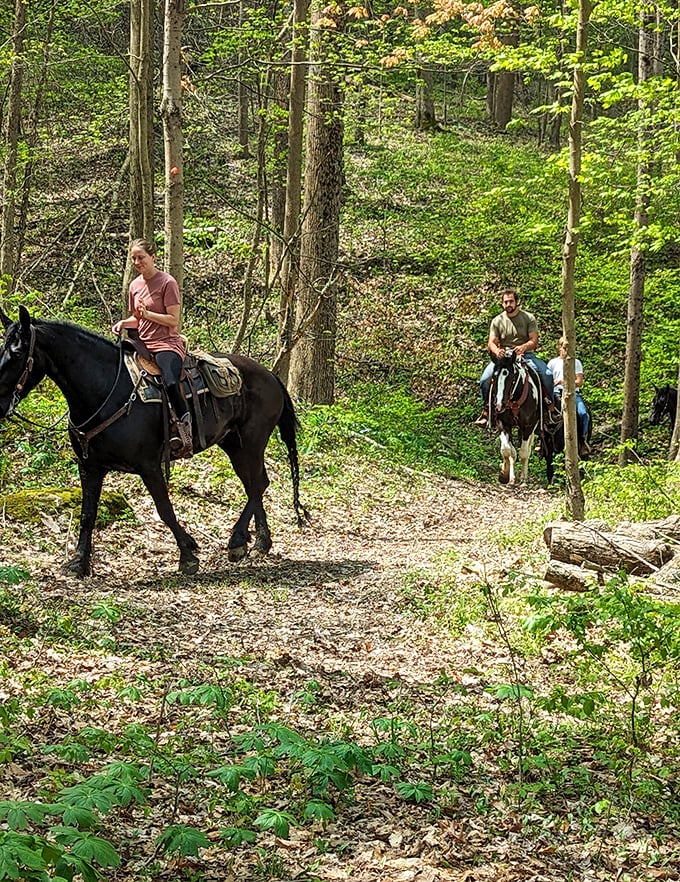 Saddle up for serenity! These wooded trails offer horseback riders the perfect escape from email notifications and the constant pinging of modern life.