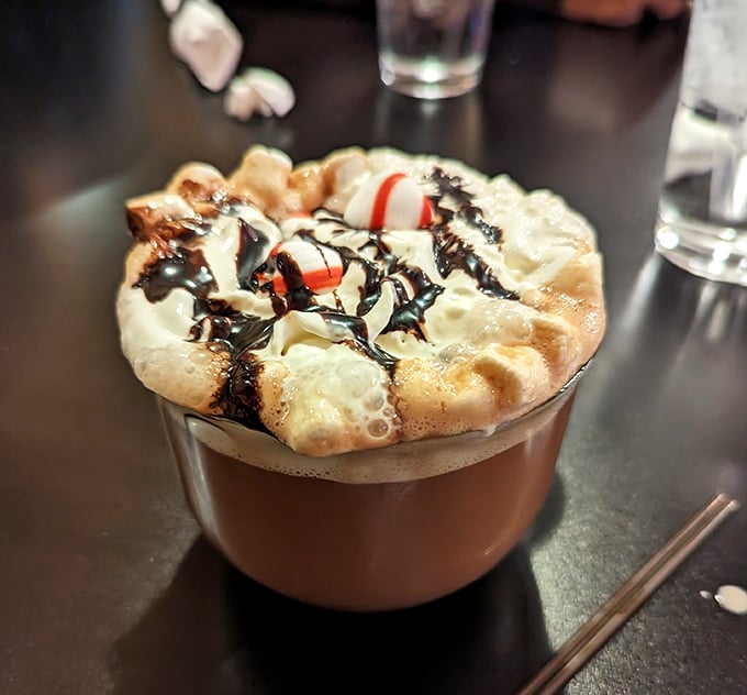 Hot chocolate reimagined as a dessert experience—topped with whipped cream, chocolate drizzle, and what appears to be peppermint. Winter blues, consider yourself vanquished.