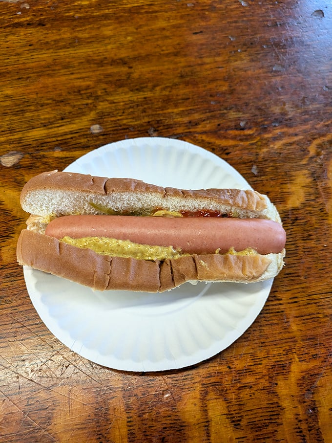 The hot dog, nestled in its bun with a perfect stripe of mustard—proof that culinary perfection doesn't require a culinary degree.