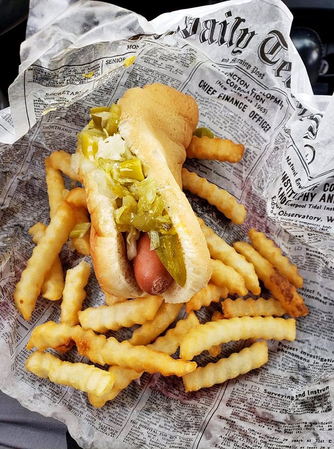 The Chicago-style hot dog nestled among golden crinkle-cut fries—a perfect marriage that's stood the test of time longer than most Hollywood couples.