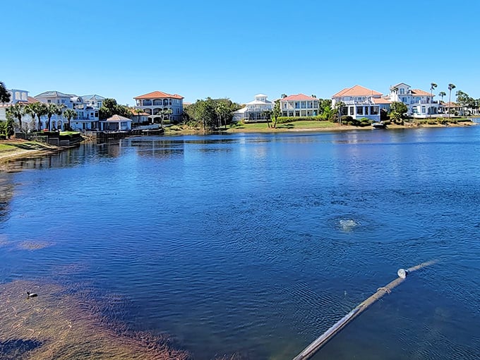 Waterfront mansions that make you reconsider your life choices—where residents wake up to this view while the rest of us wake up to alarm clocks.