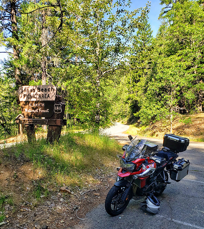 Jones Beach Picnic Area sign promises the simple pleasure of lunch with a view. The motorcycle suggests the journey there might be half the fun.