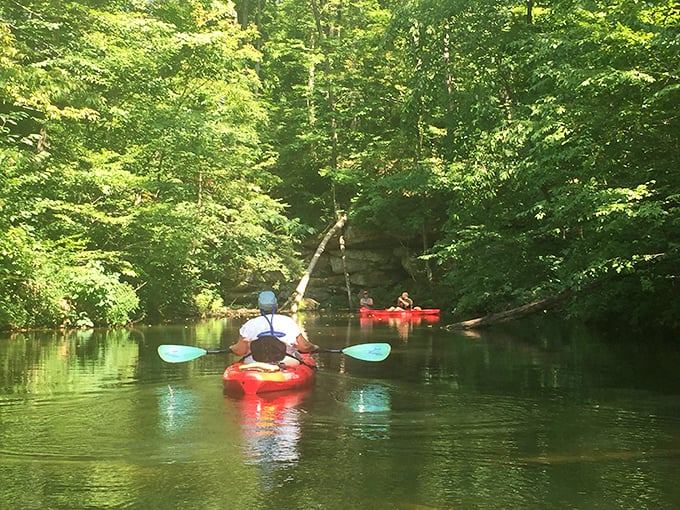 Paddling through morning mist while the world sleeps – better than any meditation app you'll ever download.