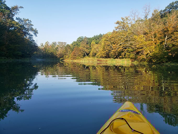 Paddling through autumn's reflection – kayaking Spring Mill Lake feels like gliding through a living Impressionist painting.