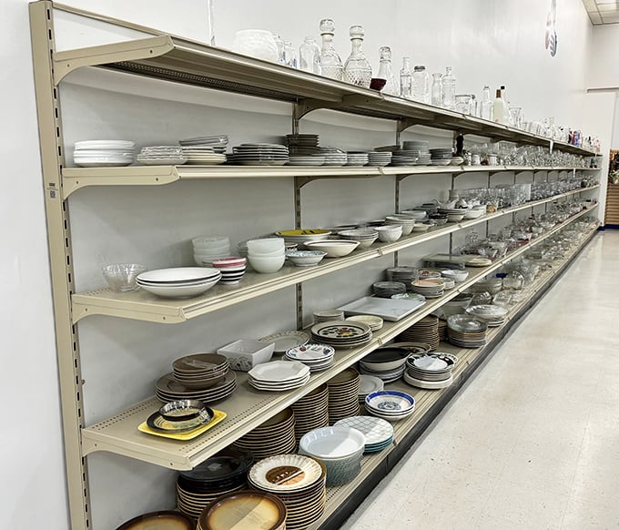Dish paradise where your grandmother's vintage patterns mingle with modern minimalist plates. One person's castoff is another's tablescape inspiration.