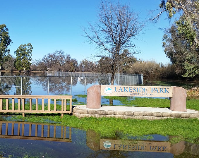 Lakeside Park offers that increasingly rare combination: natural beauty without an entrance fee, crowds, or the need to make reservations months in advance.