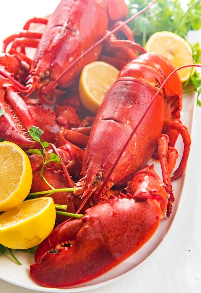 These lobsters aren't just seafood; they're crimson celebrities on a plate, demanding your attention with their theatrical presence and promise of sweet, succulent meat.