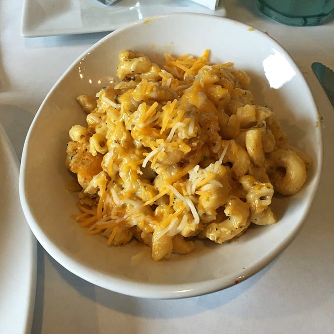 This isn't just mac and cheese – it's a creamy, cheesy masterpiece that would make your grandmother simultaneously proud and jealous.