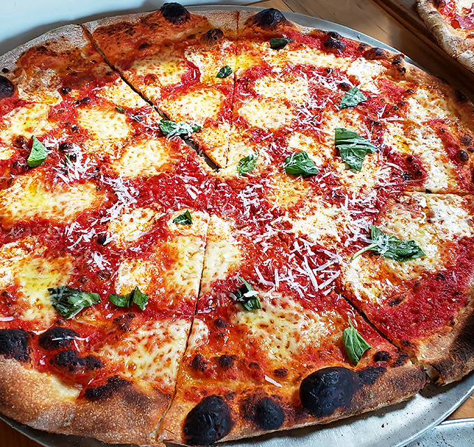 The Margherita – pizza in its purest form. Red sauce, melted mozzarella, and fresh basil creating the Italian flag you actually want to pledge allegiance to.