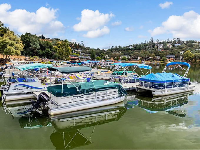 A flotilla of pontoons stands ready for adventure – like a retirement community for boats enjoying their golden years on glass-like water.