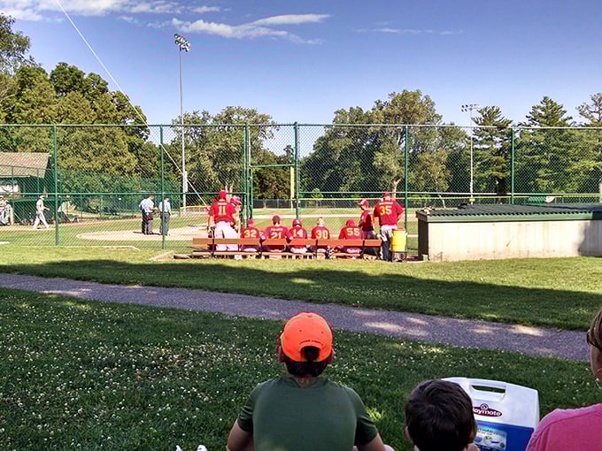 Local baseball games bring the community together on summer evenings, where the crack of the bat and cheers from the stands create the soundtrack of small-town America.