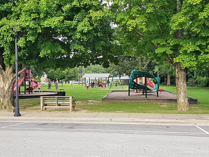 Memorial Park provides that increasingly rare commodity: actual space for children to run without hitting a screen. Green therapy at its finest.