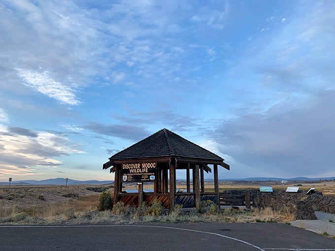Discover Modoc Wildlife indeed—where else can you find world-class bird watching without world-class crowds?