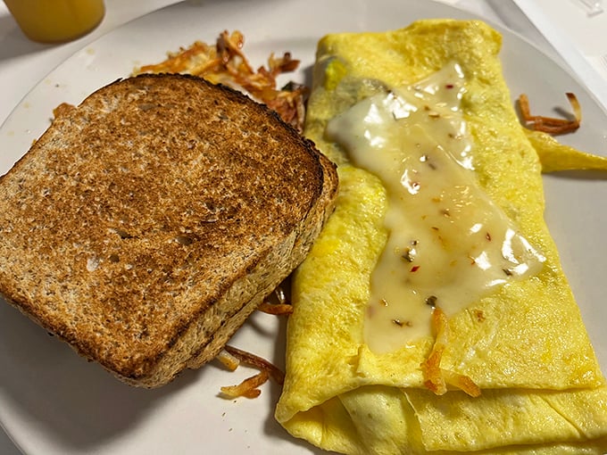 This isn't just an omelet—it's breakfast architecture. Perfectly folded eggs draped in melted cheese with crispy toast standing guard nearby.