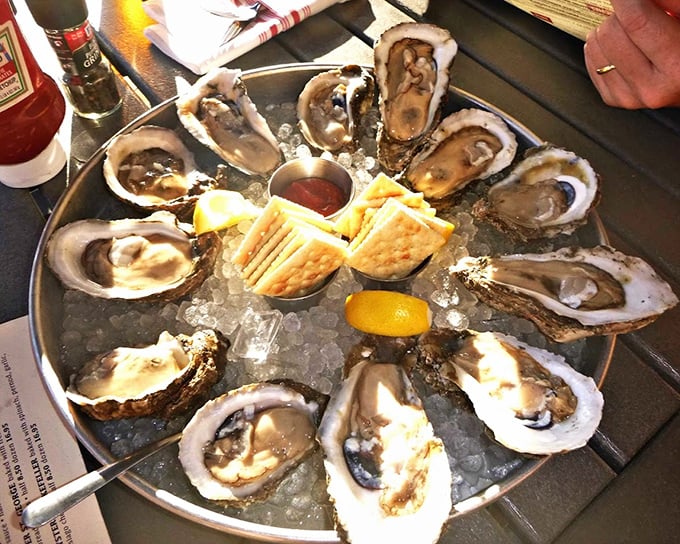 Oysters on the half shell—nature's perfect appetizer, requiring nothing more than a squeeze of lemon and a moment of silent appreciation.