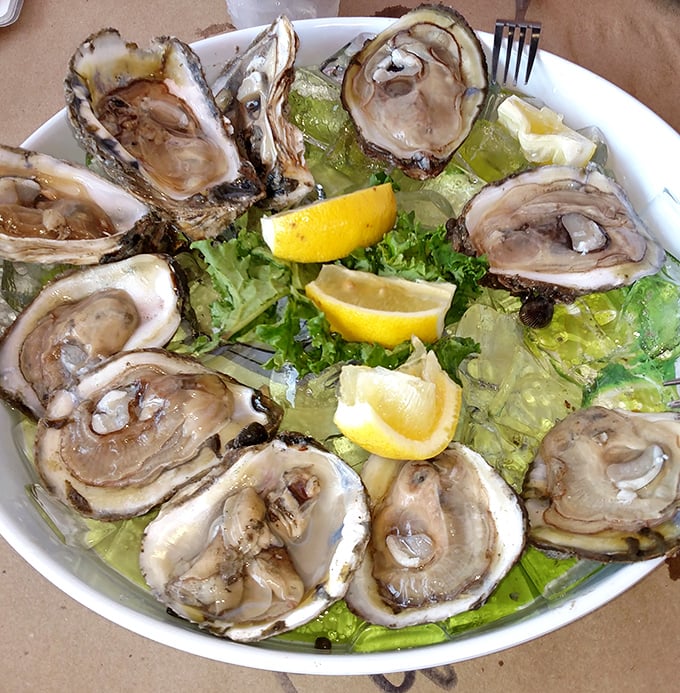 These oysters on the half shell are the jewelry of the sea—briny, beautiful, and gone too quickly. The lemon wedges stand by like faithful sidekicks.