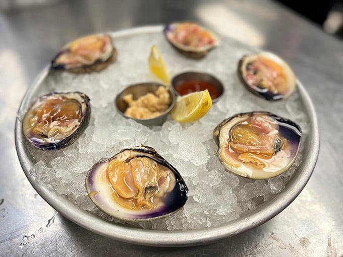 Fresh oysters on ice—nature's perfect appetizer, requiring nothing more than a squeeze of lemon and a moment of appreciation.