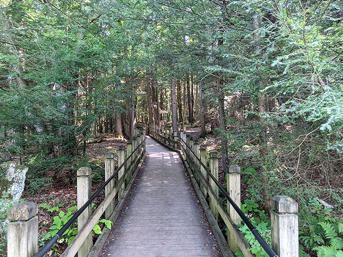 This wooden boardwalk isn't just a path—it's an invitation into a cathedral of hemlocks where the sermon is delivered by rustling leaves.