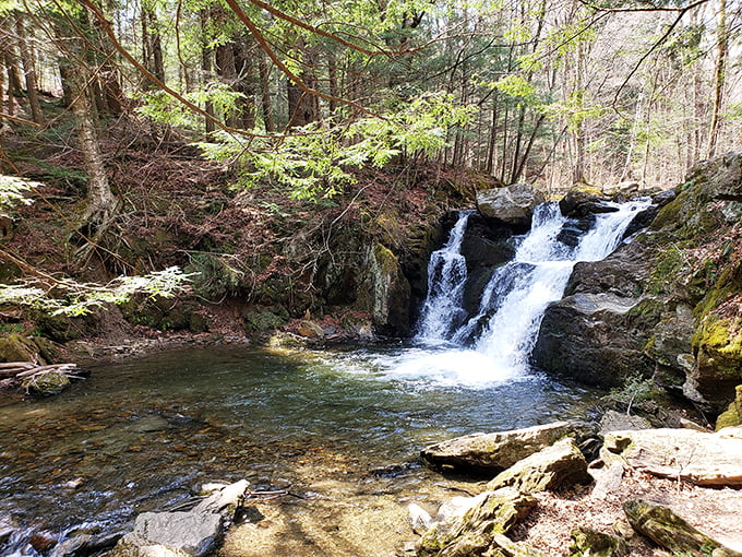 Peck's Falls tumbles through the forest like nature's own fountain of youth – no admission fee required.