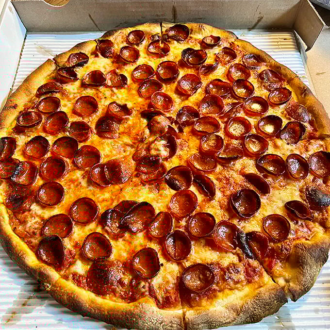 Pepperoni pizza perfection—each cup-shaped pepperoni creating a tiny pool of flavor that proves sometimes the classics need no improvement.