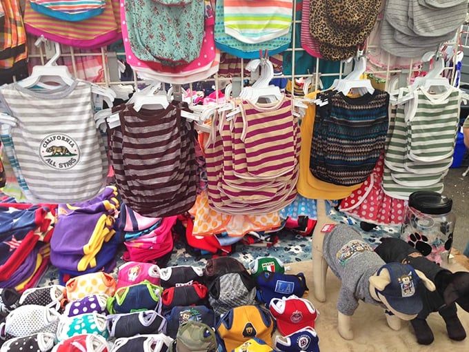 Pet fashion has gone mainstream when even Fido can rock a sports jersey. The four-legged fashionistas of Torrance never had it so good!