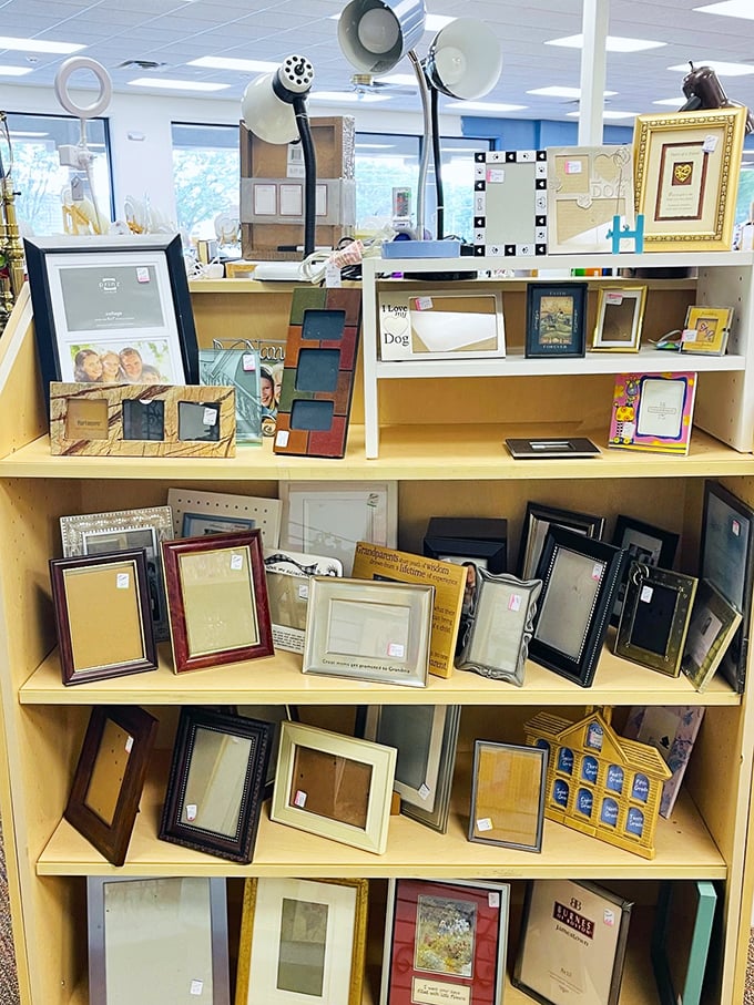 Frame your memories without framing your bank account—these pre-loved picture frames await your family photos and artwork.