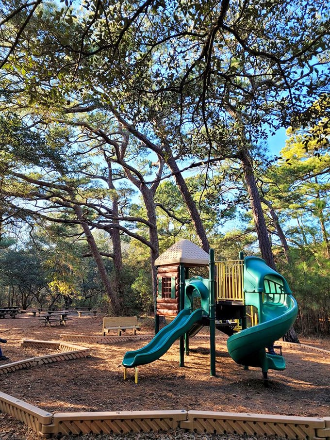 Childhood joy nestled among ancient pines—this playground proves that "going outside to play" still trumps screen time in nature's ultimate gaming arena.