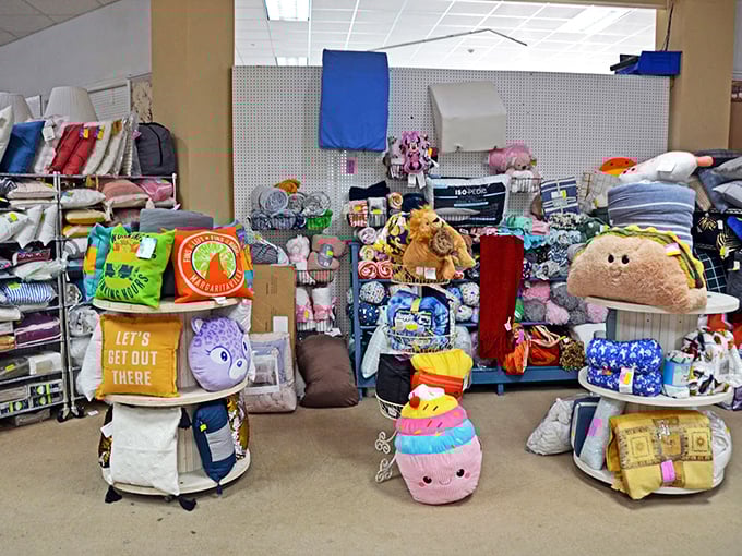 Plush paradise! These stuffed companions have been waiting patiently for someone to take them home—some since the Reagan administration.