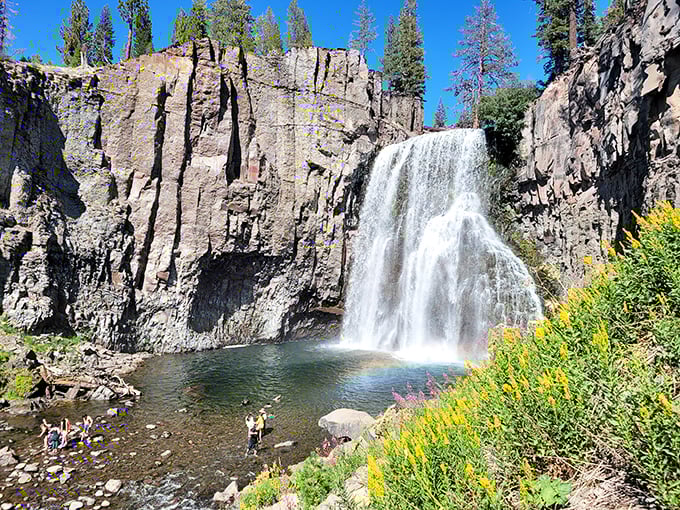 Rainbow Falls lives up to its name, delivering a refreshing spectacle that's worth every step of the hike to reach it.