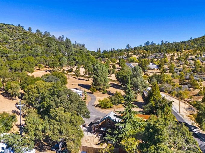 Scattered among the pines, Groveland's hillside homes embrace the landscape rather than fighting it—architecture that knows its place in nature.