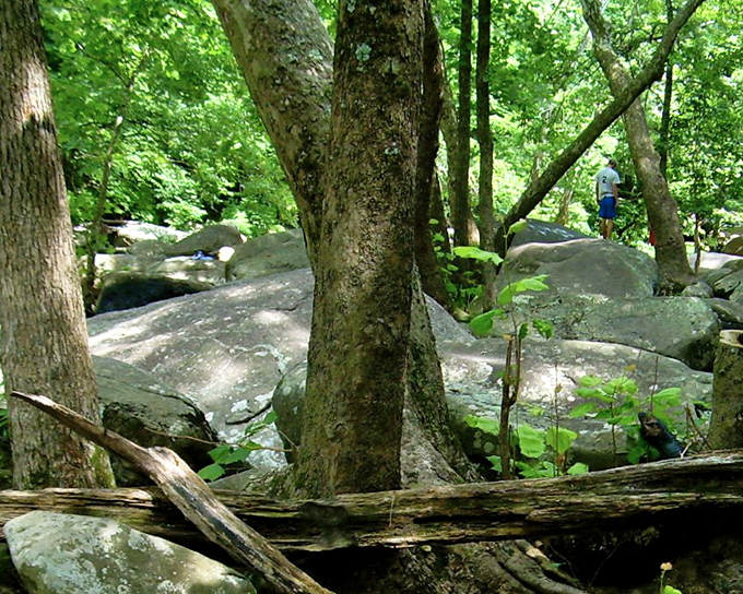 Nature's playground! These ancient boulders along French Creek have witnessed centuries of history, yet still make excellent spots for contemplation.