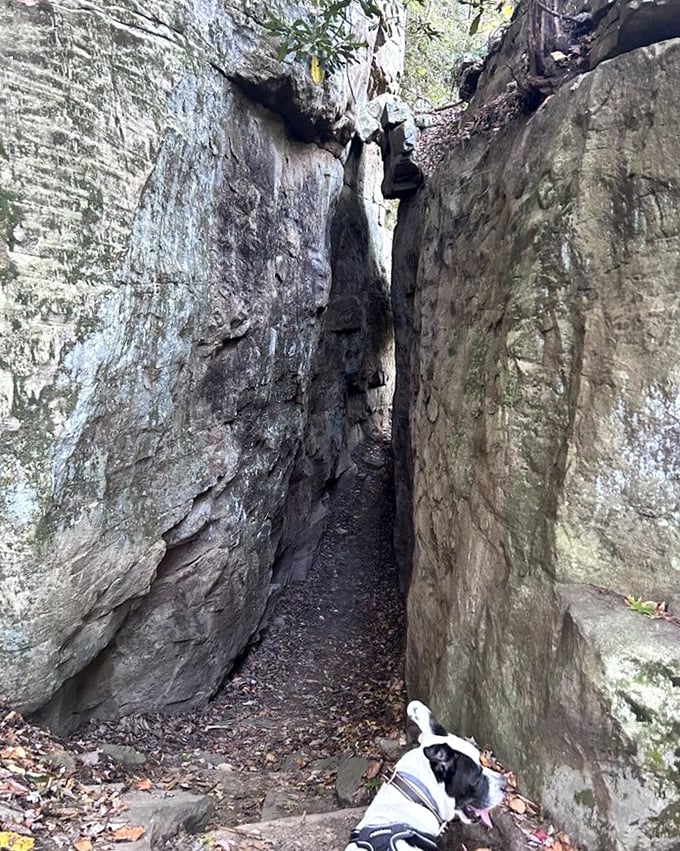 Narrow passages between towering rock walls – Mother Nature's version of an escape room, minus the contrived puzzles and with much better scenery.