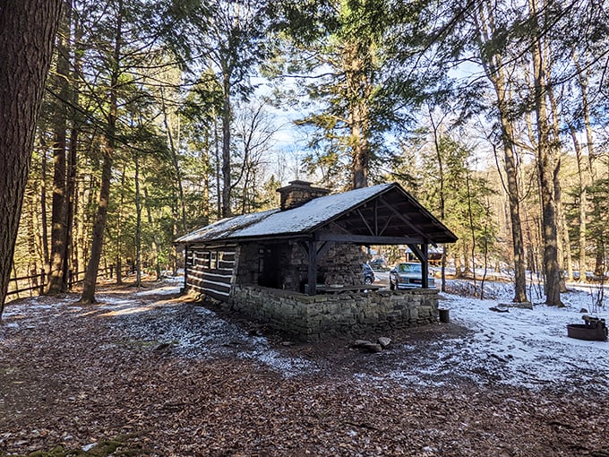 This isn't just a cabin in the woods—it's a time machine to simpler days when "streaming" meant watching water flow over rocks. 